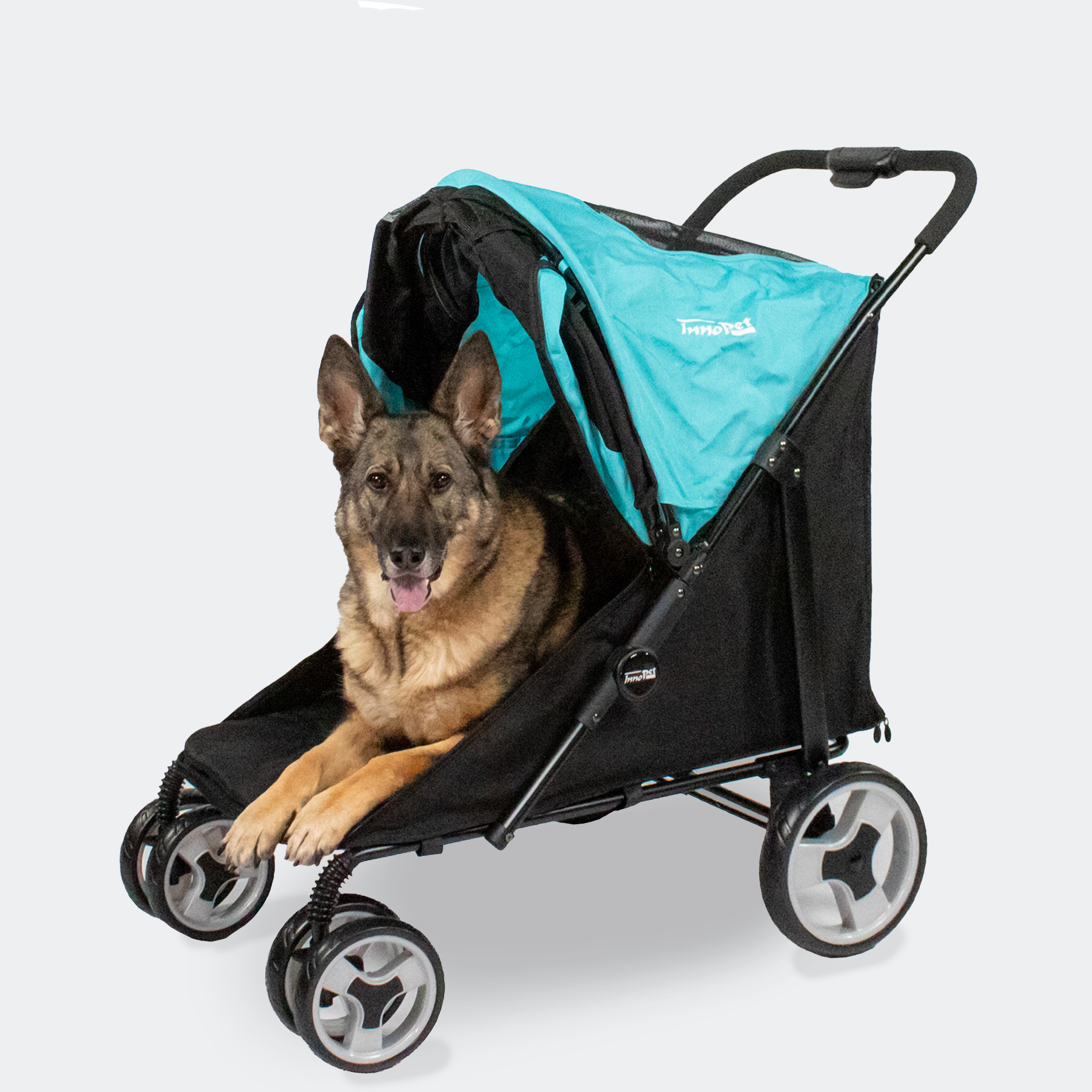 InnoPet Mamut dog trailer - InnoPet UK